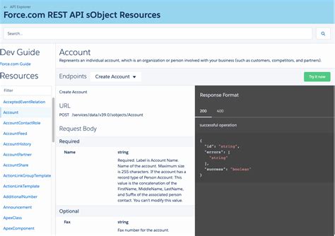 documentation using salesforce api explorer for documenting apex rest
