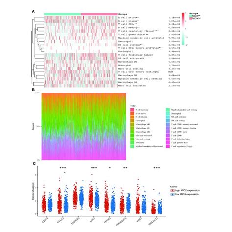 Myo Inositol Oxygenase Miox Promotes An Immune Infiltrated Tumor