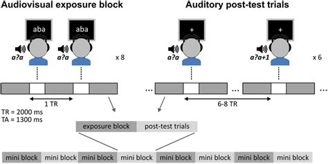Experimental Design Schematic Overview Of The Fmri Stimulation