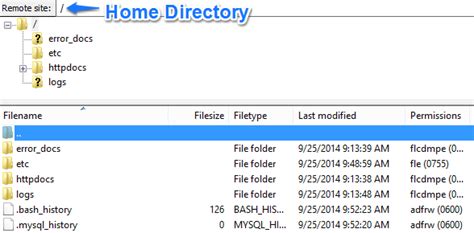 how to backup and restore mysql database using ssh