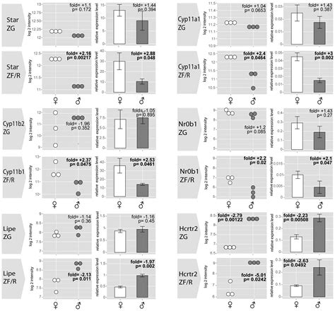 sex related gene expression profiles in the adrenal cortex in the