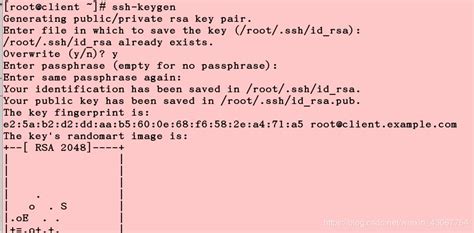 python paramiko based on public and private key connections
