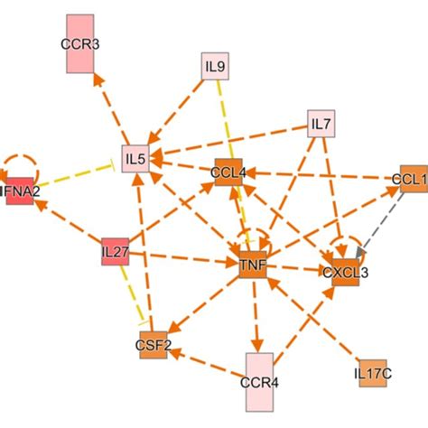 Ingenuity Pathway Analysis Predicts The Upstream And Downstream