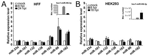 Viruses Free Full Text The Virus Induced Upregulation Of The Mir