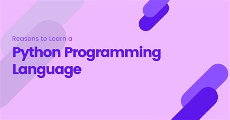 reasons to learn a python programming language bagyatech