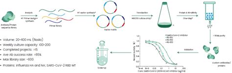 Recombinant Protein Expression Challenges And Solutions Sino Biological
