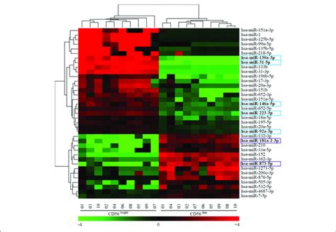 heatmap representing the unsupervised hierarchical clustering