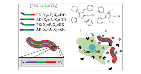 encapsulation of gold based anticancer agents in protease degradable