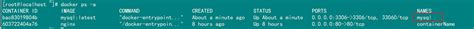 docker安装mysql详细教程并解决中文乱码问题本人亲自测试 docker中数据库中文测试 rich d的博客 csdn博客