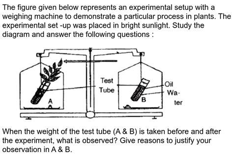 The Diagram Below Represents A Process In Plants The Setup Was Pl
