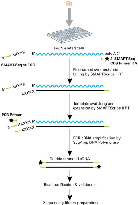 Unprecedented Sensitivity With The Smart Seq Single Cell Kit