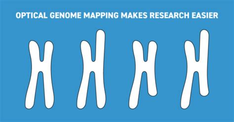 Optical Genome Mapping Makes Research Easier Triolab Oy