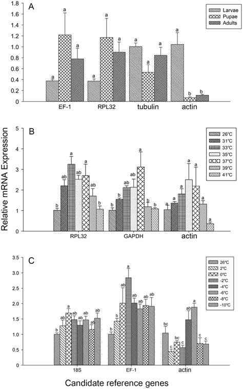 Validation Of Reference Gene Selection A Relative Expression Levels