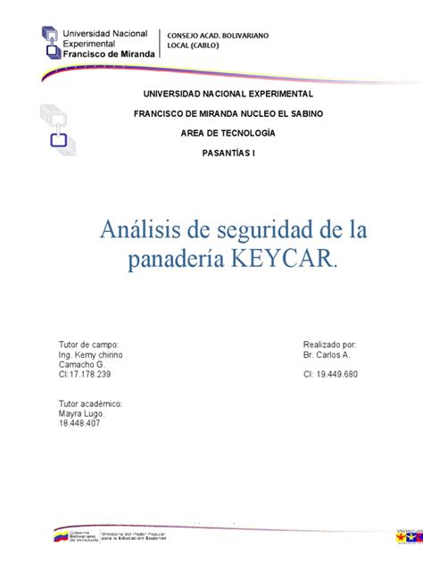 Estructura Del Informe De Pasantías Carlos Alberto Pdf Panes