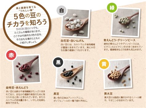 5色の豆それぞれが持つ大きな健康パワー｜豆パワーのひみつ｜まめこん図鑑｜フジッコ株式会社