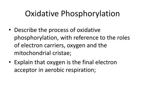 Ppt Oxidative Phosphorylation Powerpoint Presentation Free Download