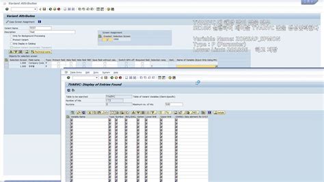 sap variant 저장 시 table variable from tvarvc 활용하기 youtube