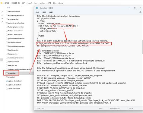 由于 git 的 safe directory 引发的 error unable to find git in your path