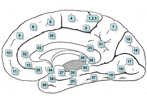 Spatial Memory Encyclopedia Mdpi