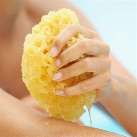 Natural Super Soft Ocean Sea Sponge Bath Body Shower Spa Loofah 3 4 5