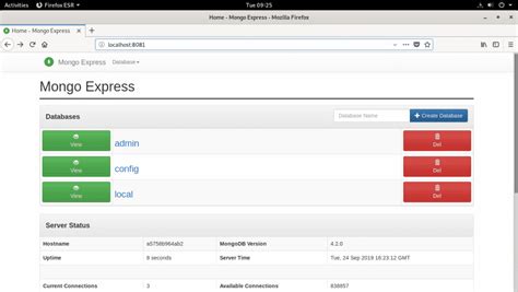set up a mongodb server with docker linux hint