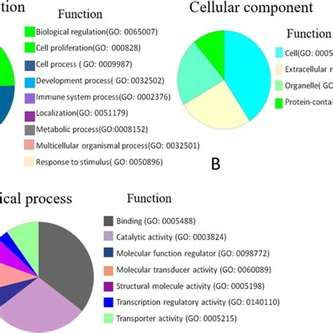 Functional Classification Of The Mrna Isoforms Differentially Expressed