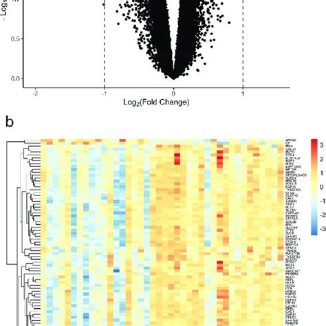 The Visualization Of Differential Gene Expression Profile A A Volcano