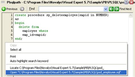 visual expert powerbuilder oracle pl sql and sql server t sql