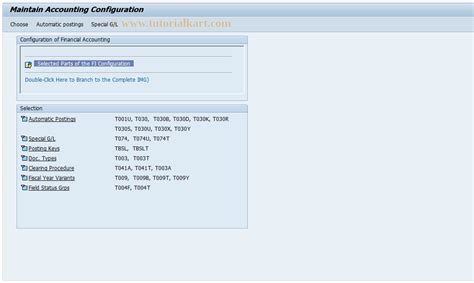 payment terms configuration in sap transaction code peynem
