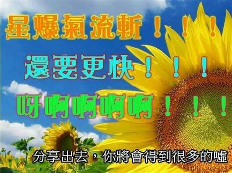 長輩圖大全【惡搞區】 人生 學習 葉峻榳醫師