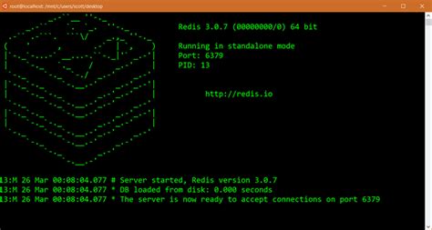 microsoft plants bash on windows 10 freaks everyone out the new stack