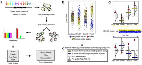 Experimental Workflow Of A Crispr Regulatory Screen And The Relics