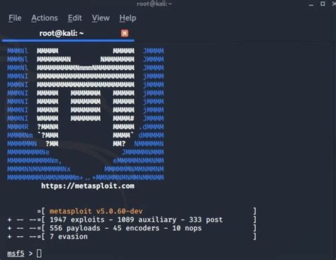 how to run penetration test on android phone camera using kali linux
