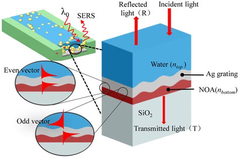 Schematic Diagram Of The Sers Substrate Download Scientific Diagram