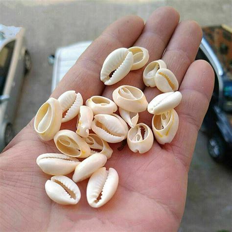 50 Pcs Small Bulk Cut Sea Shell White Cowrie Cowry Beads Beach Jewelry