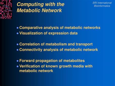 Ppt Computational Exploration Of Metabolic Networks With Pathway