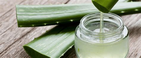 10 Ways To Use Aloe Vera For Oily Skin Glowalley