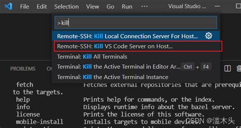 resolver error error downloading vs code server failed please install