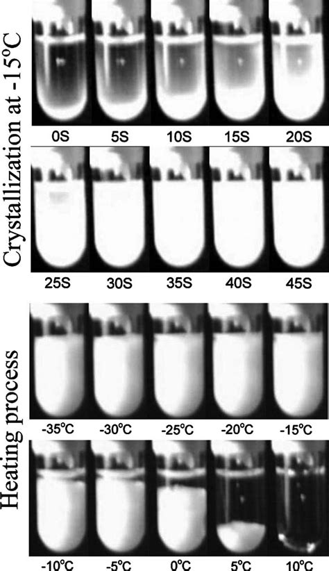 Direct Observation Of The Crystallization And Melting Processes Of The