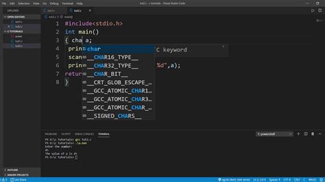 c programming tutorials in hindi 2 scanning different datatypes in c