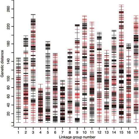 Distribution Of Snp And Ssr Markers On 17 Linkage Groups Lgs Of The