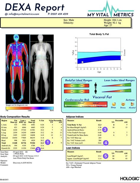 Dexa Scan Results Understanding Your Dexa Scan Report