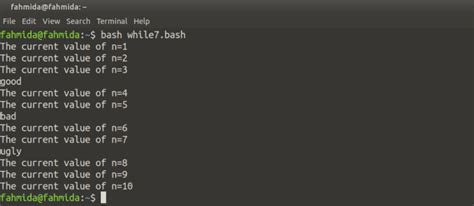 bash while loop examples