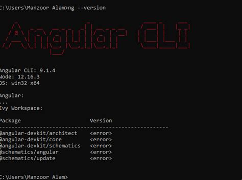 node js global `ng version` shows errors instead of