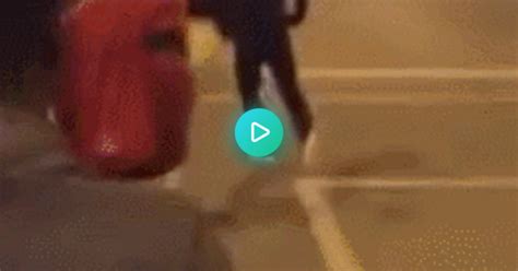 Thugs Body Slamming Cars Meet Karma  On Imgur
