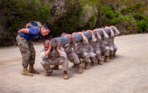 A U S Marine Corps Drill Instructor With India Company 3rd Recruit