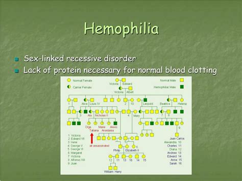 Ppt Genetic Disorders Powerpoint Presentation Free Download Id 6387428