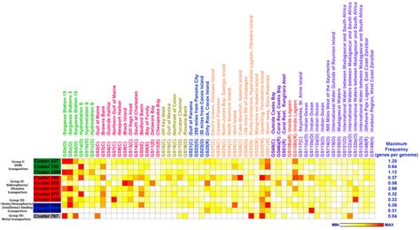 Heat Map Comparison Of Frequencies Each Cluster In Different Gos