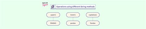 convert column to string in pandas scaler topics