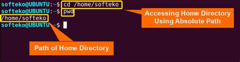 What Is Directory In Linux [a Complete Overview] Linuxsimply